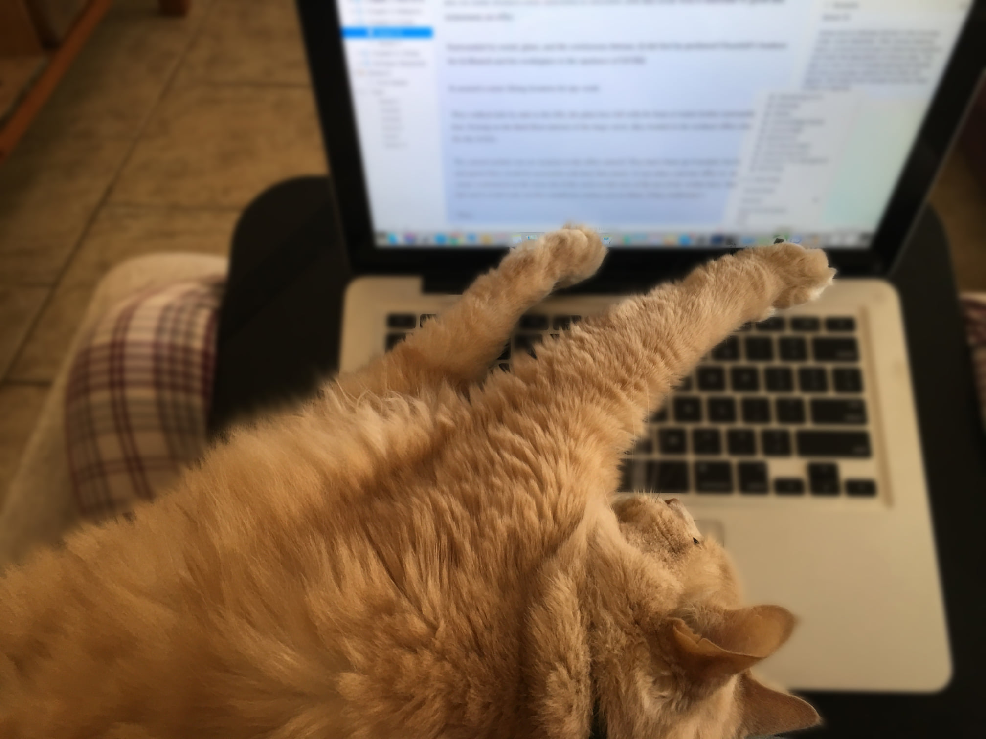 2019 Review and 2020 Goals (And Dreams) | Chestnut NOLA